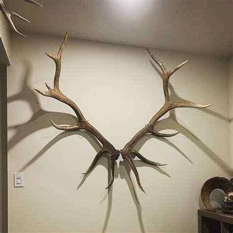 Bestseller 1499 Elk Antlers Deer Antler Crafts Antler Wreath