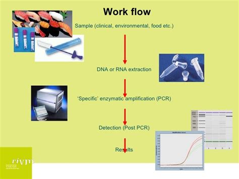 Multiplex Qpcr
