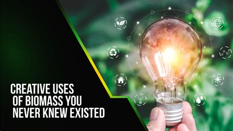 From Agriculture To Energy Creative Uses Of Biomass You Never Knew
