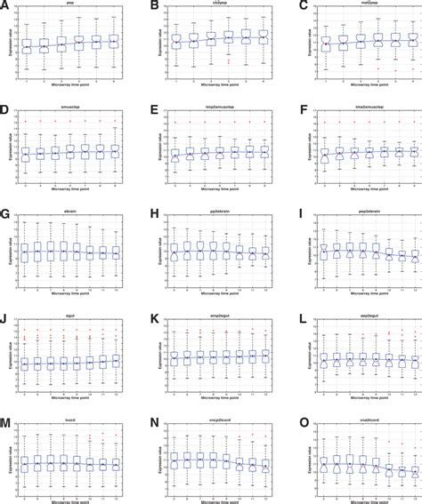 Dynamics Of Gene Expression Detected With Microarray Experiment With