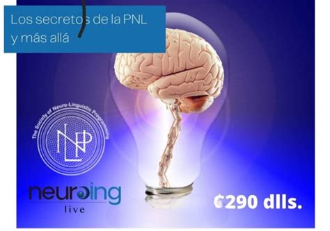 Secretos De La Pnl Y Más Allá Neuroing Tus Cursos Muy Baratos