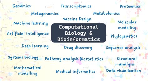 Bioinformatics Research Center I Am Hereby A Phd Scholar And Expert Bioinformatician As Well