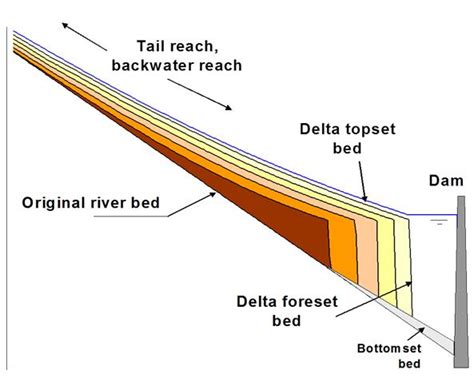 Schematic Representation Of Sediment Deposition In Reservoirs And