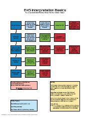 Comprehensive Guide On EKG Interpretation Basics For Medical Course Hero