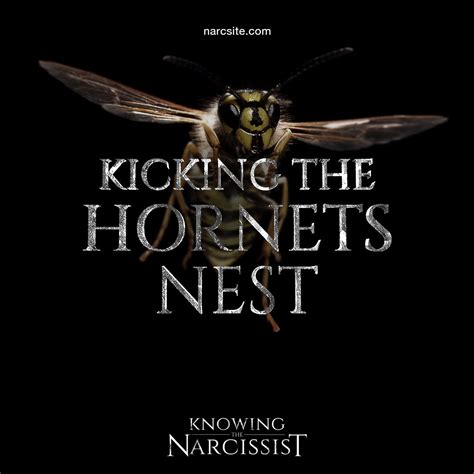 kicking the hornet´s nest hg tudor knowing the narcissist the