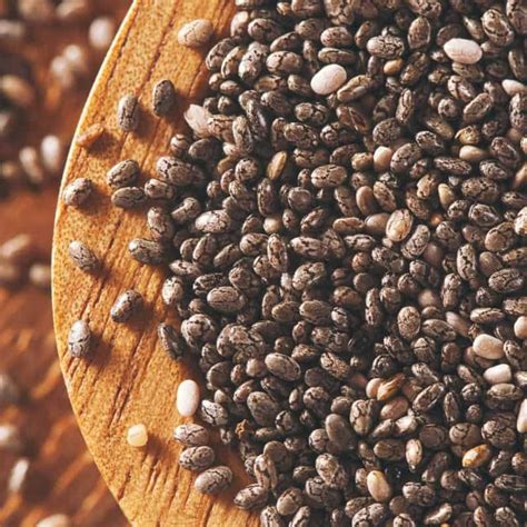 Salvia Hispanica Chiya Beej Chia Vithanalu At ₹ 600kg Salvia