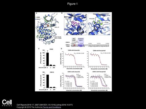 Volume 17 Issue 9 Pages November 2016 Ppt Download
