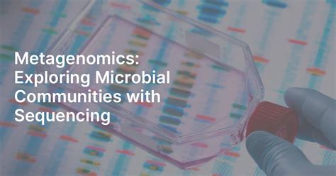 Metagenomics Exploring Microbial Communities With Sequencing