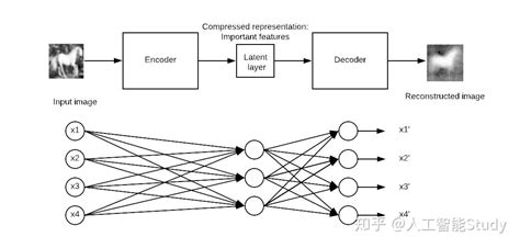 深度学习中的自动编码器：tensorflow示例 知乎
