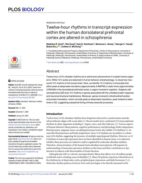 Pdf Twelve Hour Rhythms In Transcript Expression Within The Human Dorsolateral Prefrontal