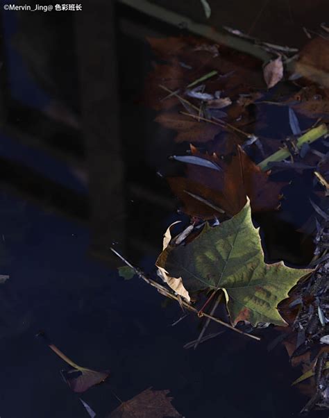 【镜面反射】色彩班长 17