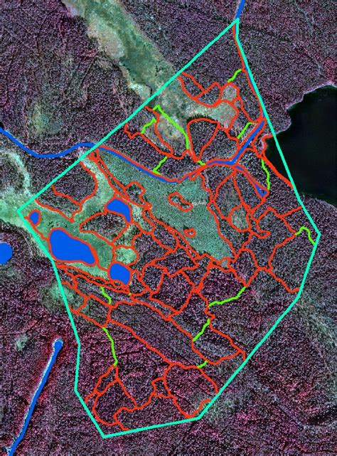 Figure 2 From Automatic Delineation Of Forest Stands From Lidar Data Semantic Scholar