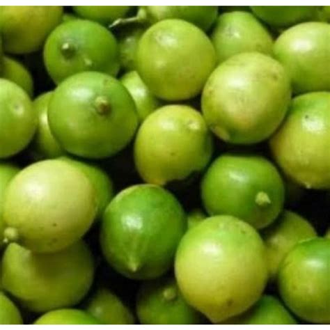 Jual Jeruk Nipis Segar 1kg Shopee Indonesia