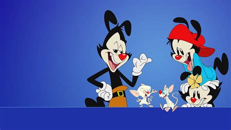 Animaniacs Hardsubcafe