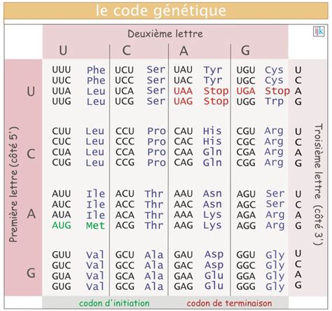 Parlons Protéines Openlab Université De Strasbourg