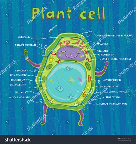 Cartoon Vector Illustration Structure Plant Cell Stock Vector Royalty