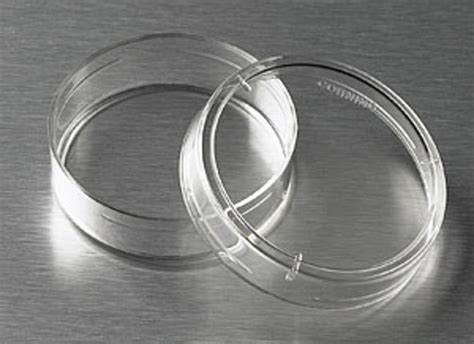Corning 35 mm经TC处理培养皿