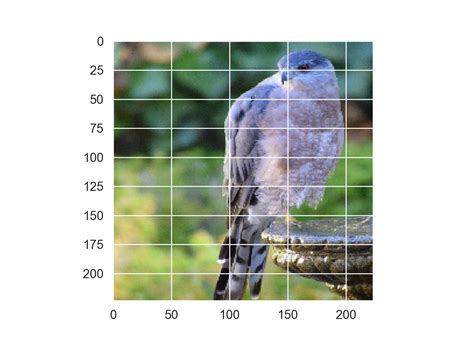 Using Pretrained Cnn Models
