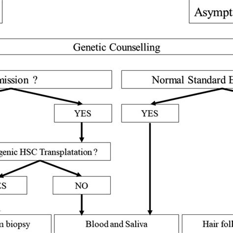 Algorithm Proposed For Diagnostic Hsc Hematopoietic Stem Cells