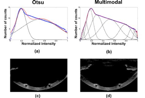 A Semi Logarithmic Representation Of The 3 D Image Histogram Using Download Scientific