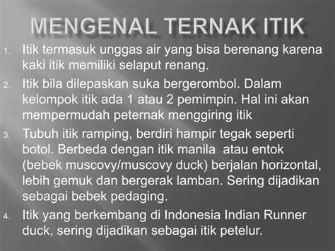 Mengenal Ternal Itik Pptx