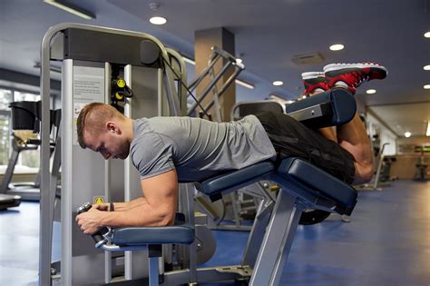 Effective Lying Leg Curl Alternatives For Hamstring Gains Inspire US