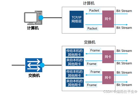 以太网交换基础泛洪数据帧的格式 Csdn博客