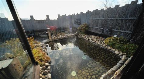 Dormy Inn Kofu Natural Hot Spring Kaiji No Yu Reopening On February 3rd