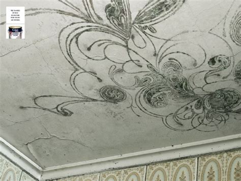 View Tintas Coral Ad By Leo Burnett Tailor Made São Paulo Lürzer