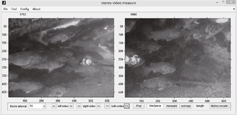 Matlab Graphical User Interface Gui Used To Measure The Fi Sh Length Download Scientific