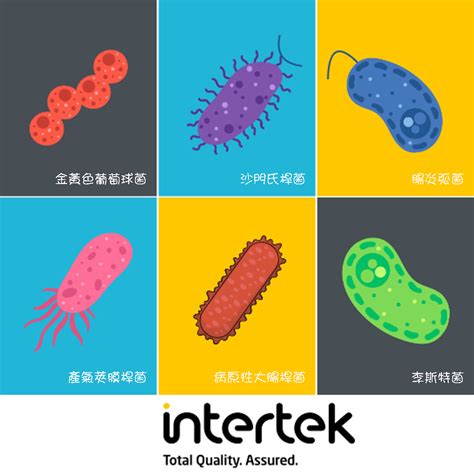 Intertek 全國公證 夏天即將到來🔥，開始進入食物中毒高峰期🦠，大家都擔心容易誤食產生毒素的食物！食物含有益
