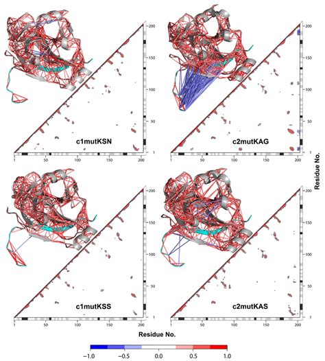 Dynamic Cross Correlation Matrix With The Correlation Coefficients
