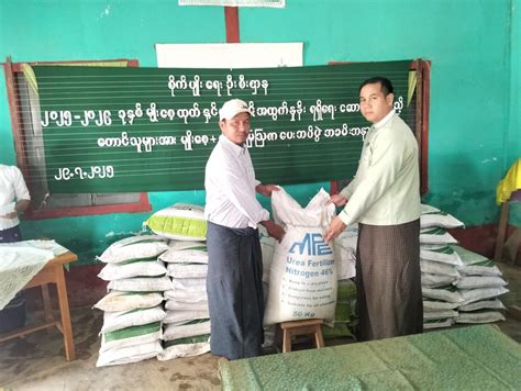 မိုင်းပန်မြို့နယ်၌ မိုးစပါး၊ မျိုးစေ့ထုတ်နှင့် ပန်းတိုင်အထွက်နှုန်းရရ