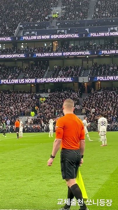 손흥민 교체출전 토트넘vs브라이튼 Youtube