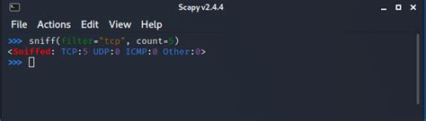 Packet Sniffing Using Scapy Geeksforgeeks
