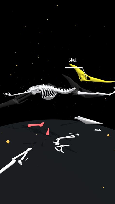 Assemble Skeleton For Android Download