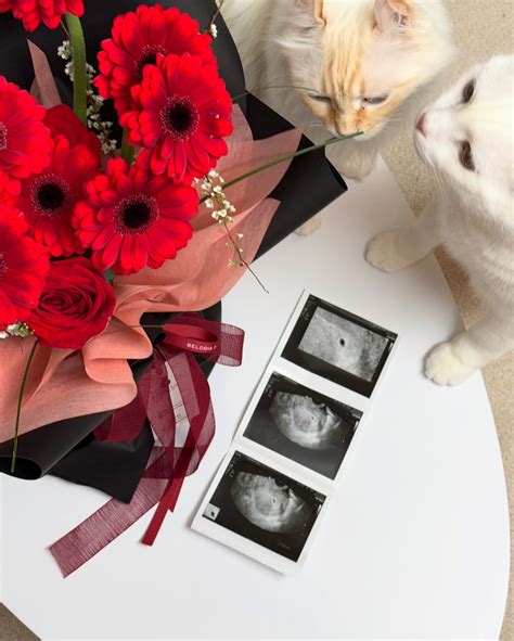 조애라 필라테스대회•강사브랜딩•바레시퀀스 다들 얼마나 놀라시려나~~ ️ 여러분 저에게 아기천사가 찾아왔어요👼🏻 드디어 안정기가 지나서 공개합니다🥳 이때까지