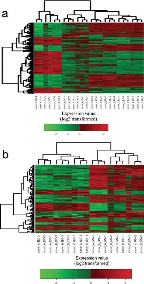 Microarray Based Heat Maps Of Differentially Expressed Gene Probes In Download Scientific