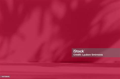 제품 프레젠테이션을 위한 추상 빨간색 스튜디오 배경 창문과 꽃과 야자수 잎의 그림자가 있는 빈 방 복사 공간이 있는 3d 룸 0명에 대한 스톡 사진 및 기타 이미지 Istock