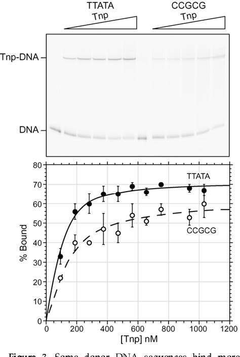 Figure 5 From Dna Sequence Bias During Tn5 Transposition Semantic Scholar