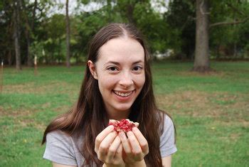 Hex Color Codes Simplicable