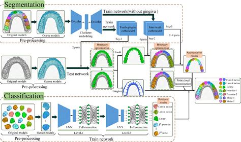Figure 6 From Automatic Classification And Segmentation Of Teeth On 3d Dental Model Using
