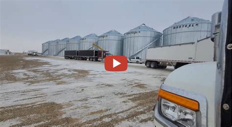 Mike Mitchell In The Bin So We Have Been Hauling Grain From The