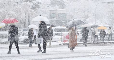 전북 전 지역 대설주의보밤사이 최대 32cm 눈 쌓여