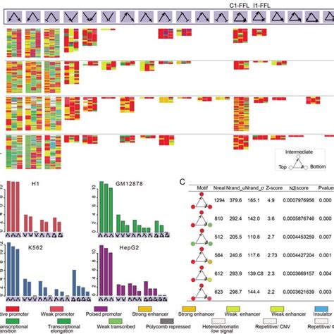 Characterizing Diverse Chromatin States Of Network Motifs A