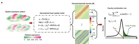 sun et al 2020 nature methods statistical analysis of spatial