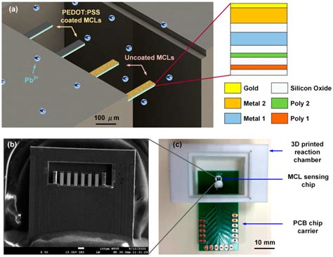 A Schematic Diagram Of The Detecting Concept And Multilayer Structure