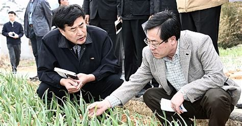 양파 생육상황 점검하는 정승 제2차관