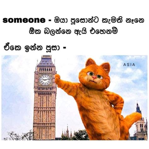 ගාර්ෆීල්ඩ් Episode 04 Garfield 😍 Sinhala Cartoon Follow For ️ Episode 05 ️🔥