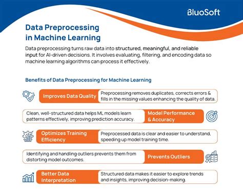machinelearning ml datapreprocessing bluosoft bigdata ai bluo software llc